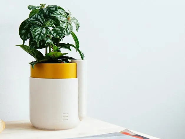 HydroGrow Self-Watering Planter EverGreen Smart Watering Pot ...