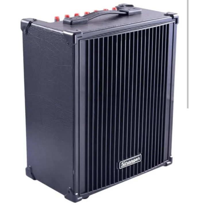 Stranger Guitar and meeting Amplifier./Stranger Cube 29 Guitar Amplifier | Daraz.com.bd