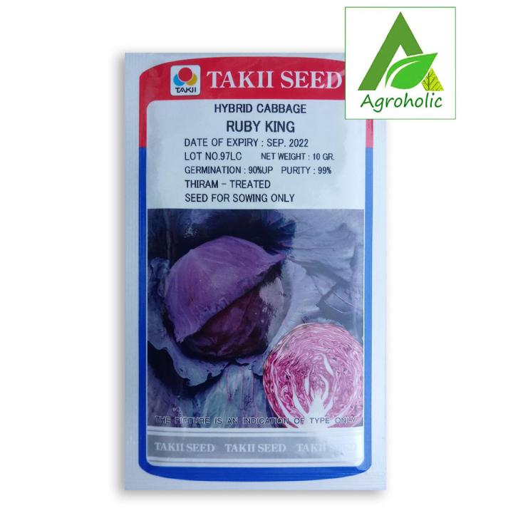 Hybrid Cabbage Imported from Japan - 30 Seeds (Re-Packet) | Daraz.com.bd