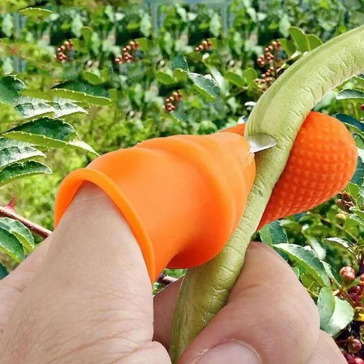 Silicone Vegetable And Fruits Thumb Cutter Finger cutter 5 in 1 | Daraz ...