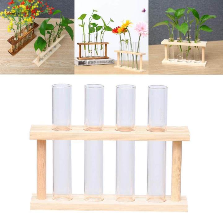 Glass Test Tube Plant Terrarium Cylinder Clear Vase Vintage Flower Pots ...