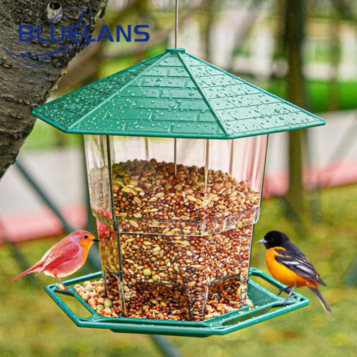 Bird Food Dispenser Transparent Hanging Bird Food Container Feeder ...