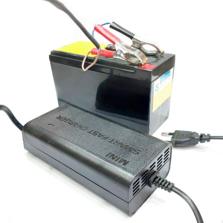 12V 5A Battery charger,DC 12v 5a Mini Smart Fast Battery Charger with ...
