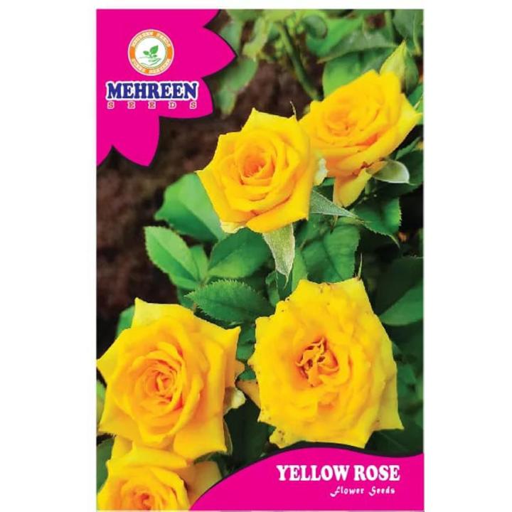 YELLOW ROSE FLOWER SEEDS, INTAKE PACKET - 15 SEEDS | Daraz.com.bd