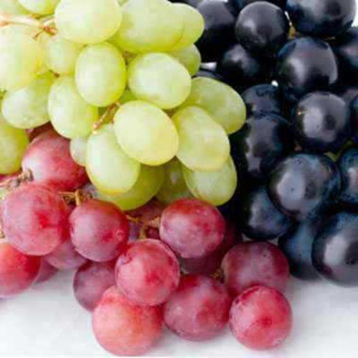 Mixed Miniature Grape Seeds - 20 Pcs Seeds | Daraz.com.bd