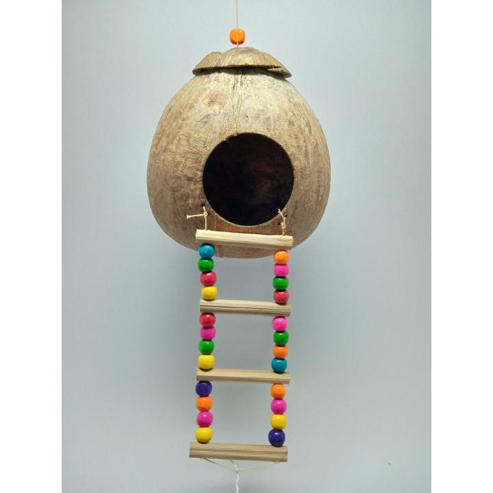 Natural Coconut Shell Bird Nest House One Door with Ladder | Daraz.com.bd