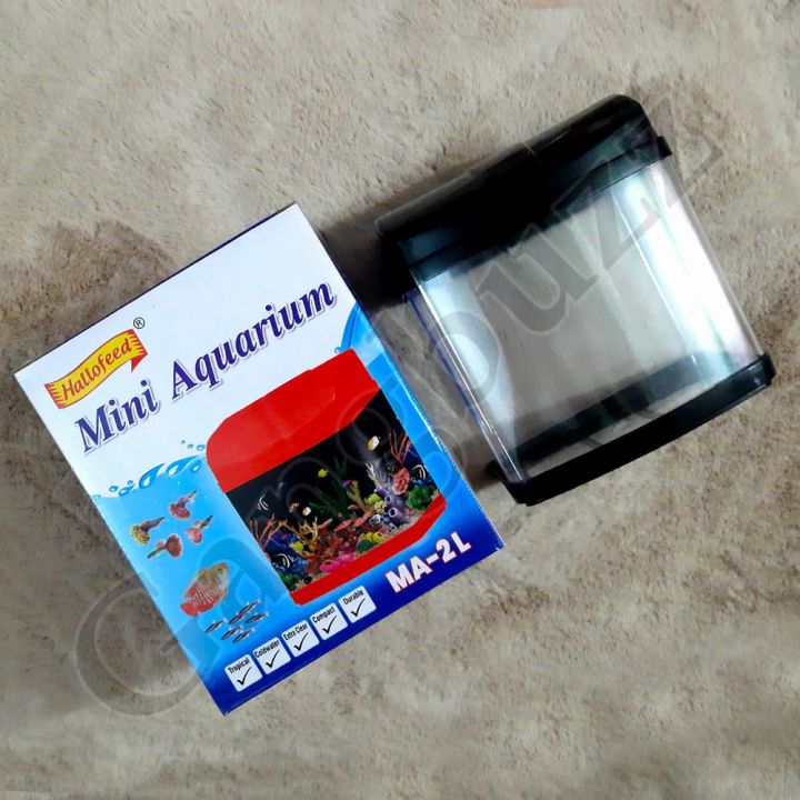 Hallofeed Desktop Mini Aquarium - High-Quality Plastic, Rectangular ...