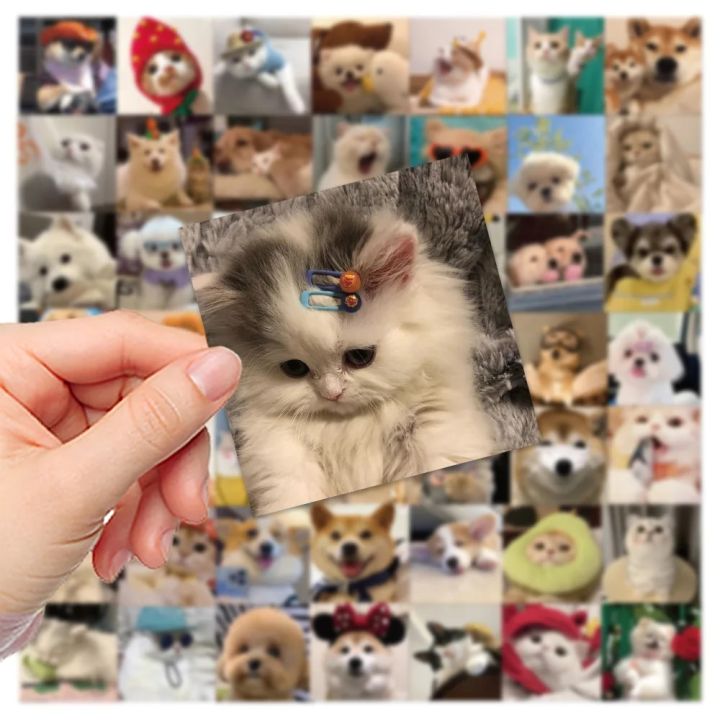 10/30/52PCS Cute Dog Cat MEME Stickers PVC Waterpoof Decals DIY Laptop ...