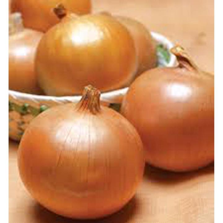 Onion Seed а єа а ѓа їа ја ѕа ња а а а ђа њ а а а а а а єа їа љ Onion Daraz Bd