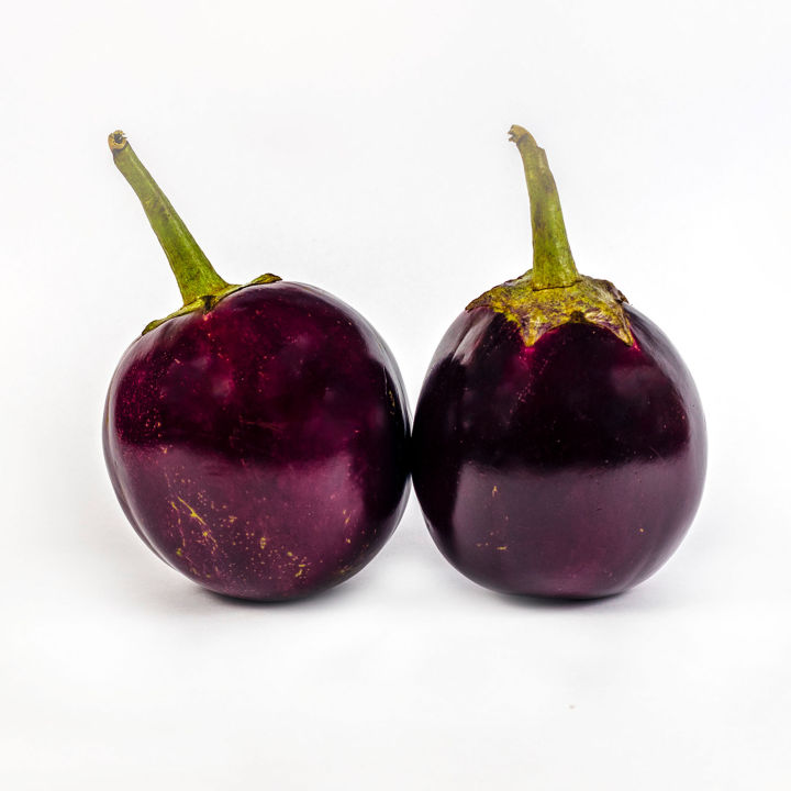 Hybrid Desi Tal Eggplant Seeds 25 pcs. | Daraz.com.bd