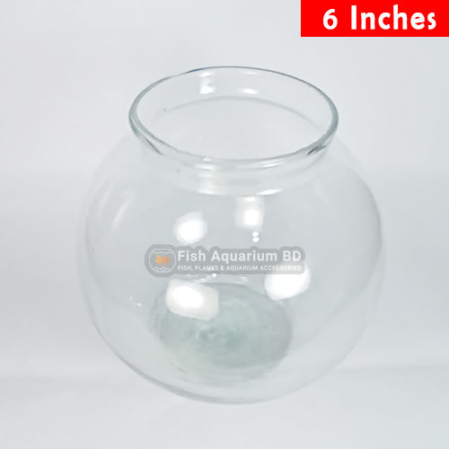 Fish Jar Transparent Fish Glass Bowl or Jar inch Bangla Fish Jar Deshi ...