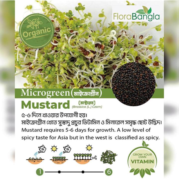 Hybrid MicroGreen Organic Musterd Seeds 5gm | Daraz.com.bd