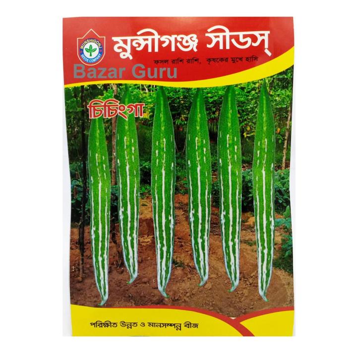 Hybrid Chichinga Seed 10gm হাইব্রিড চিচিংগা বীজ-1 Packet | Daraz.com.bd