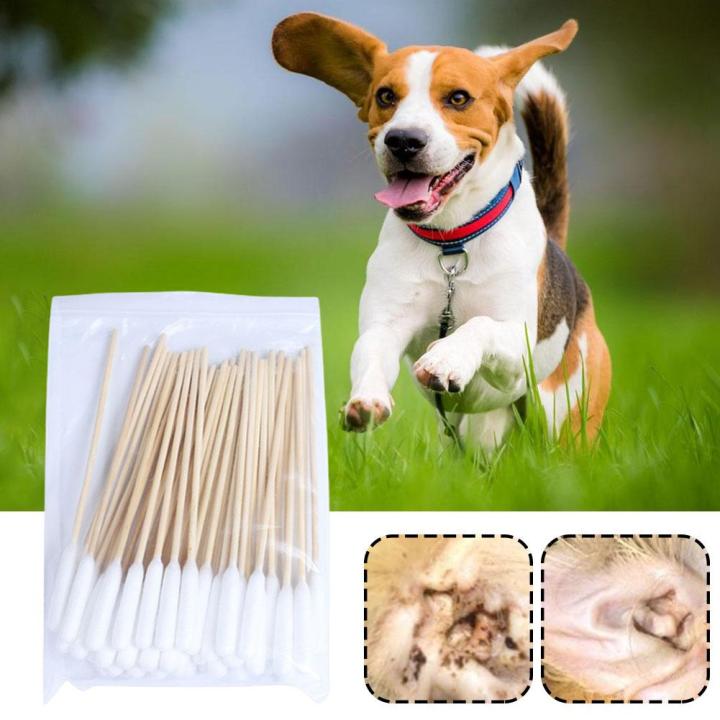 50/100Pcs Pet Ear Cleaner Cotton Buds Animal Ear Cleaner Cotton Swab ...