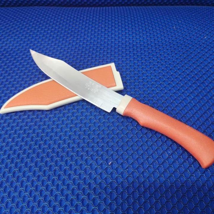 Stainless Steel Fruit Cutter With Cover. | Daraz.com.bd
