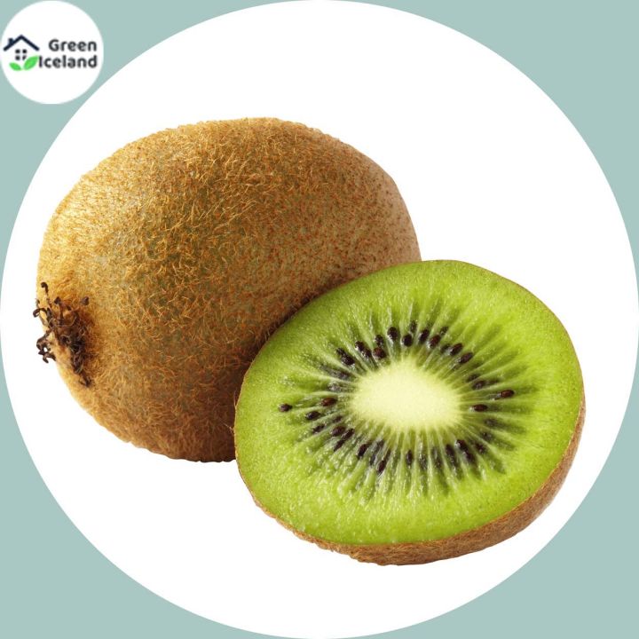 Organic Thailand Mini Kiwi Fruit Bonsai Seeds - 50 Pcs Seeds | Daraz.com.bd