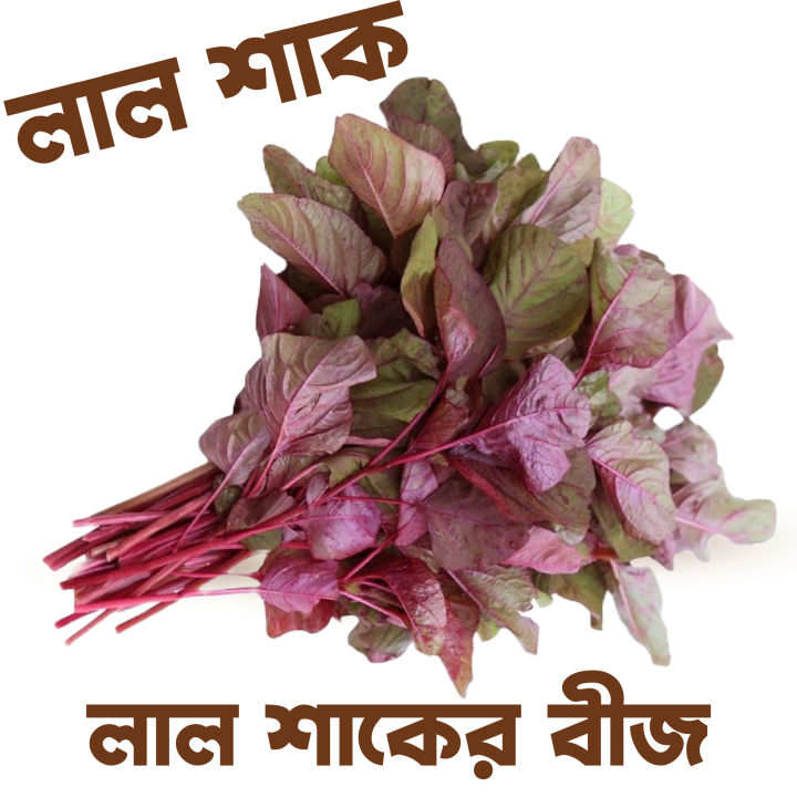 Red Spinach Vegetable (Lal Shak) Seeds - (20 gram) 2500+ seeds. | Daraz ...