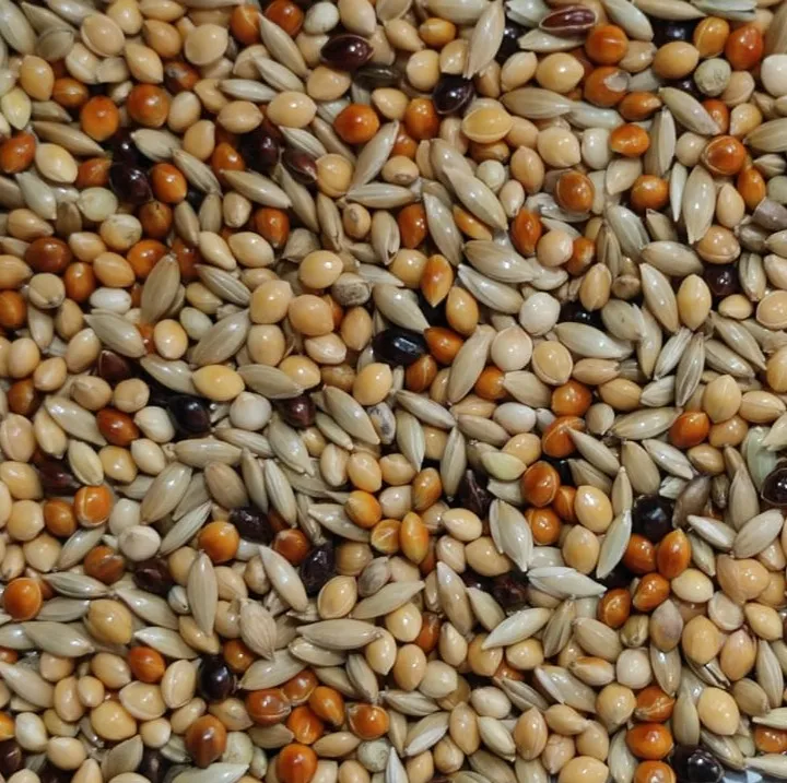Bird Food Millet Canary Mix - 1kg | Daraz.com.bd