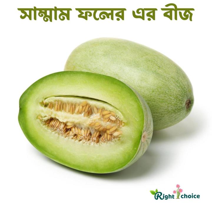Green color sammam Fruits Seeds 6 pice + gift | Daraz.com.bd