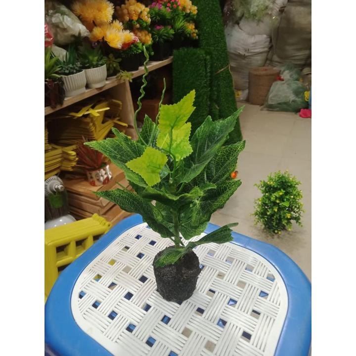 Artificial Plastic Plant Tree -Bonsai | Daraz.com.bd