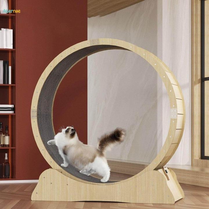 Cat Exercise Wheel, Silent Sports Climbing Frame, Exerciser Wheel ...