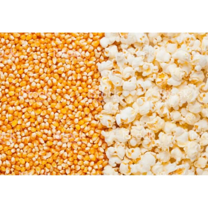 Pop corn seeds (premium quality) 1kg | Daraz.com.bd