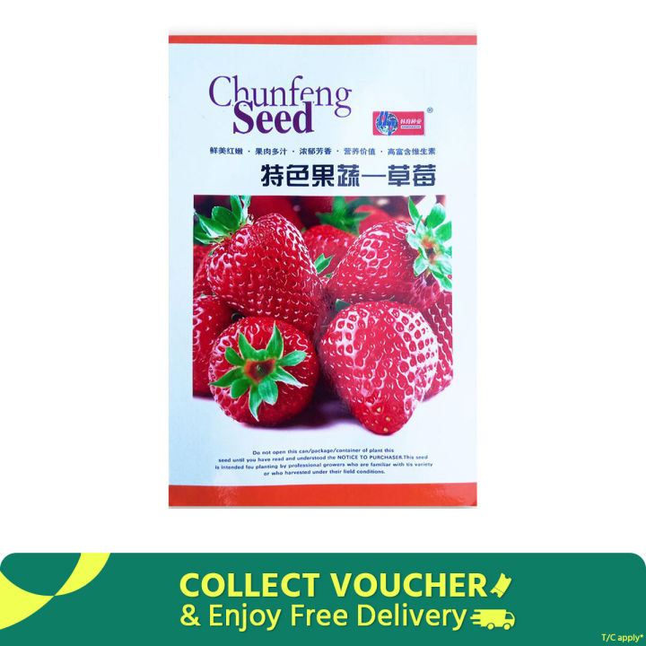 Hybrid Strawberry seeds (Re- Packet) Imported from China- 20 pcs ...