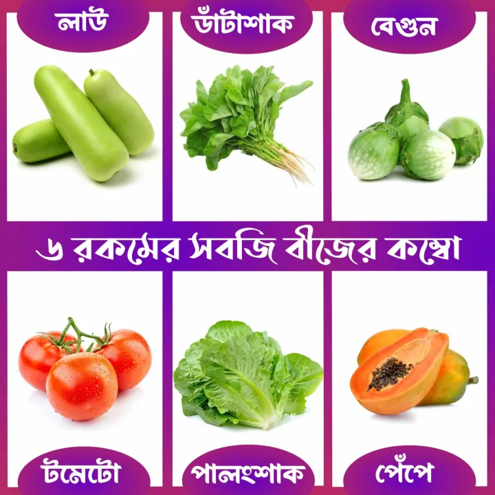 Hybrid All Season Vegetable Combo Seeds + Gift | Daraz.com.bd