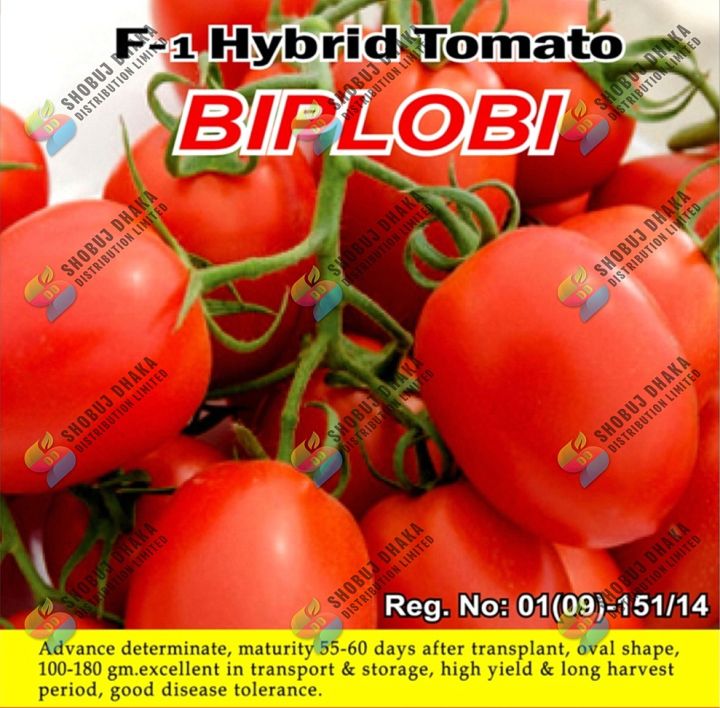 F1 Hybrid Biplobi Tomato 0.5gm Intact Pack Thailand | Daraz.com.bd