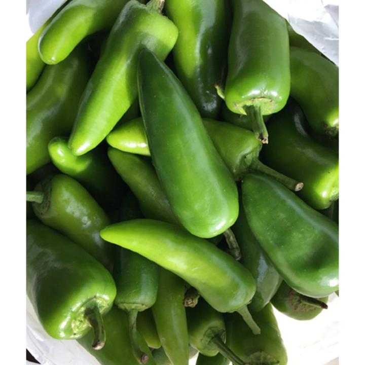 Bonkim Indian Bullet Chilli Seeds -50 Pieces | Daraz.com.bd