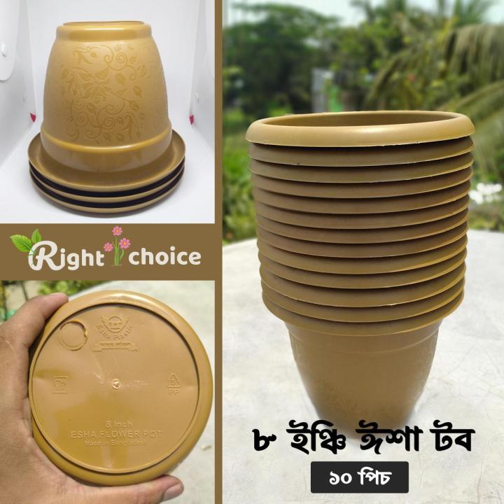 8 inci ihsa flower tob 10 pice | Daraz.com.bd