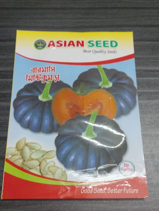 Hybrid Perennial misty kumra seeds 1 packet- 5 gm | Daraz.com.bd