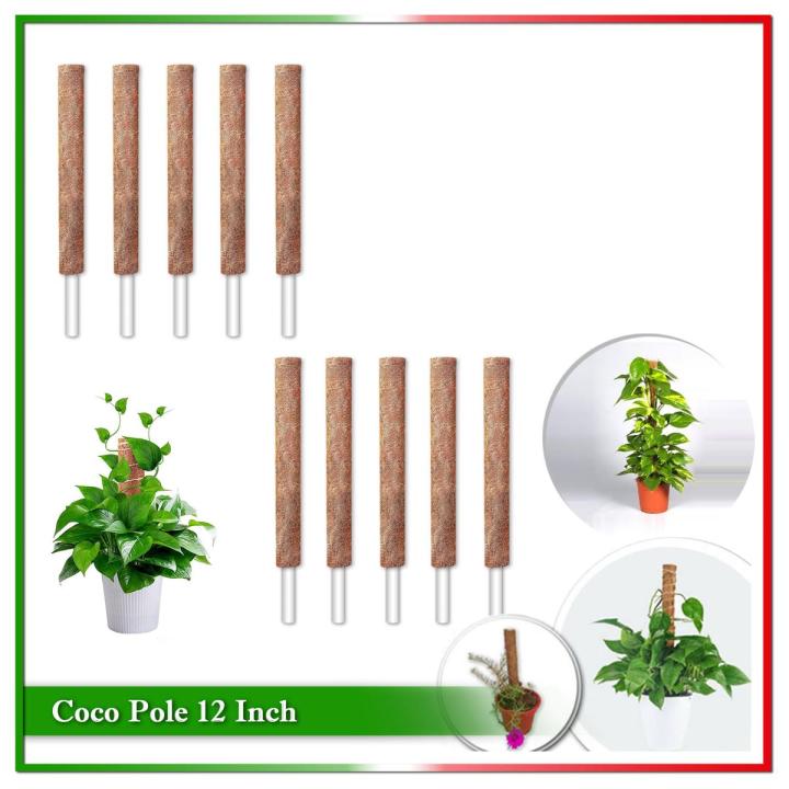 12 Inch Coco Pole (Plant Support) - 10 Pcs | Daraz.com.bd