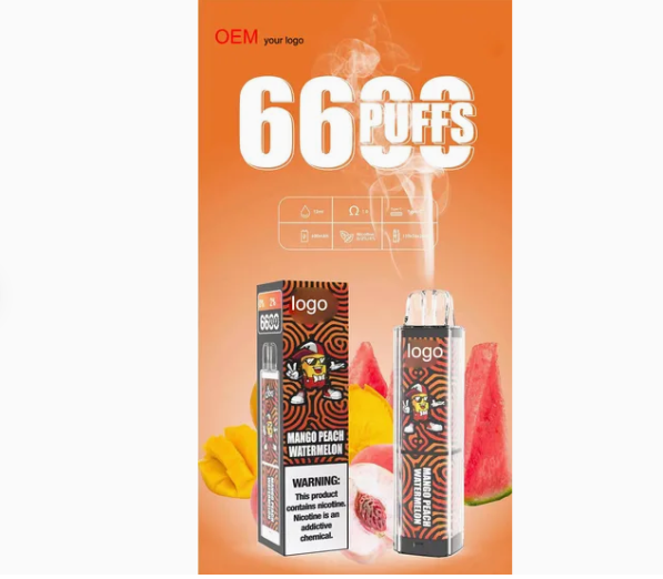 Jec 6600 Puffs Disposable Vape Device with Airflow Control Rechargeable ...