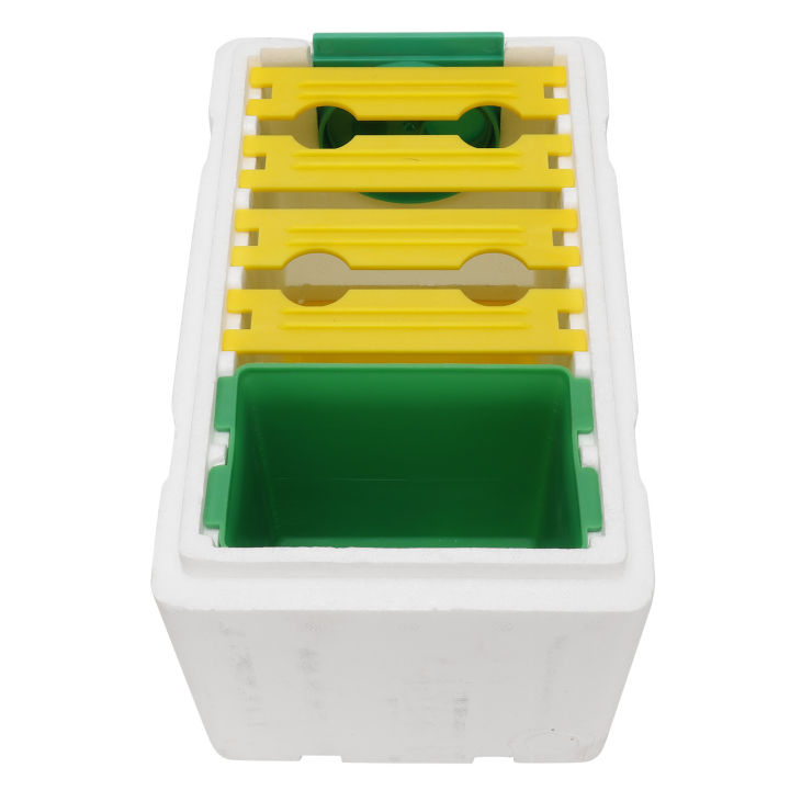 Queen Bee Mating Box Pollination Box Foam Frames Beekeeping Tool ...