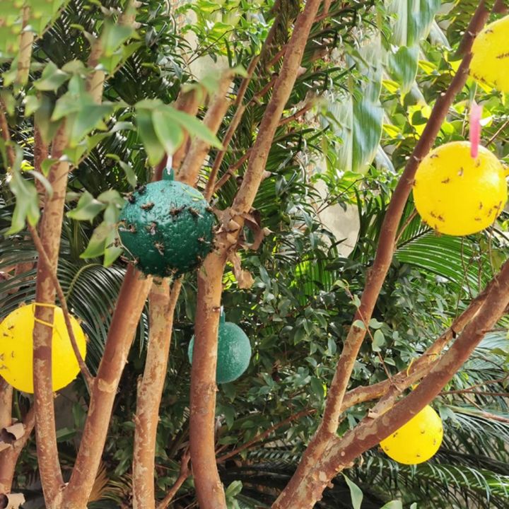 5pcs Gnat Traps Polypropylene Hanging Fly Trap Ball EVA Hanging Fruit ...