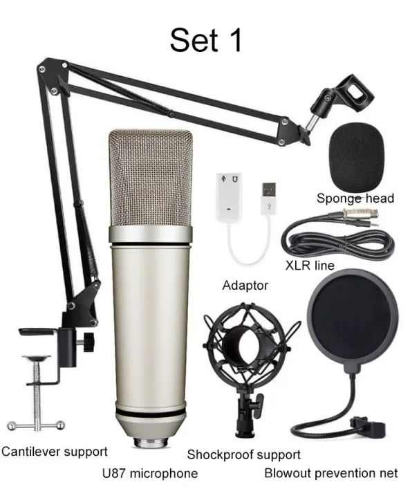 Professional Studio Record Condenser Microphone U87 With Shock Mount ...