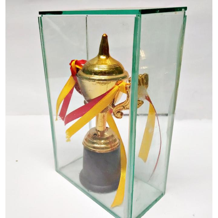 Glass and Plastic Cricket Mini Trophy | Daraz.com.bd