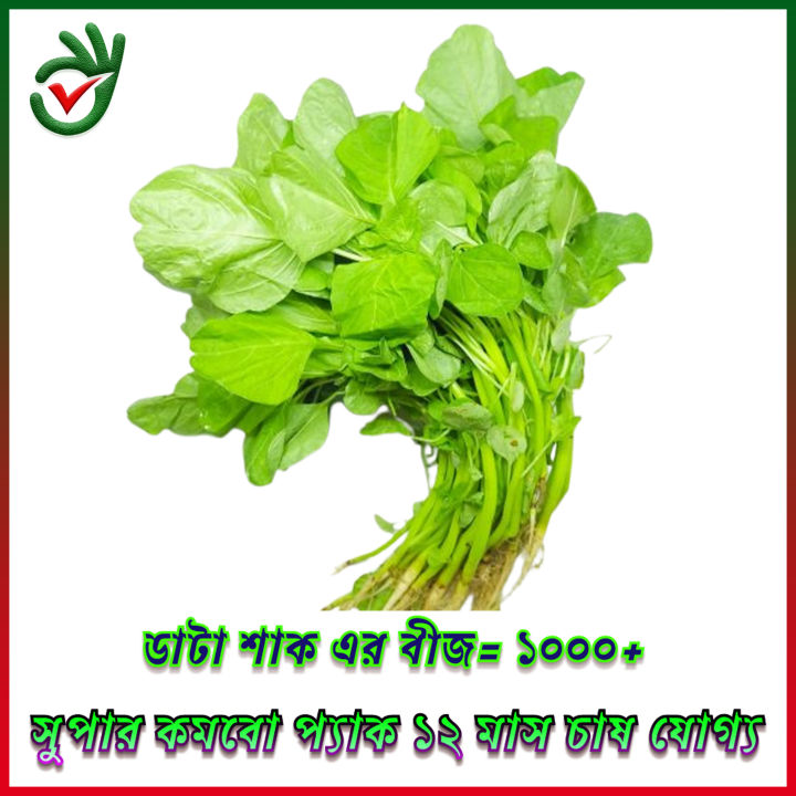 Hybrid Data Shak seed 1000+pice + Gift | Daraz.com.bd