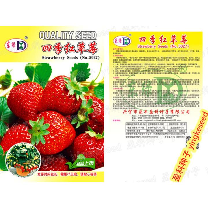 Global Intact Packet Four Seasons Global Red Strawberry Fruit seeds ...