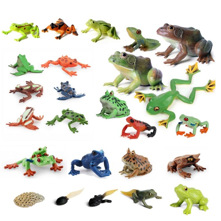 Realistic Colorful Rainforest Animals Frogs Character Figure Tree Frog ...