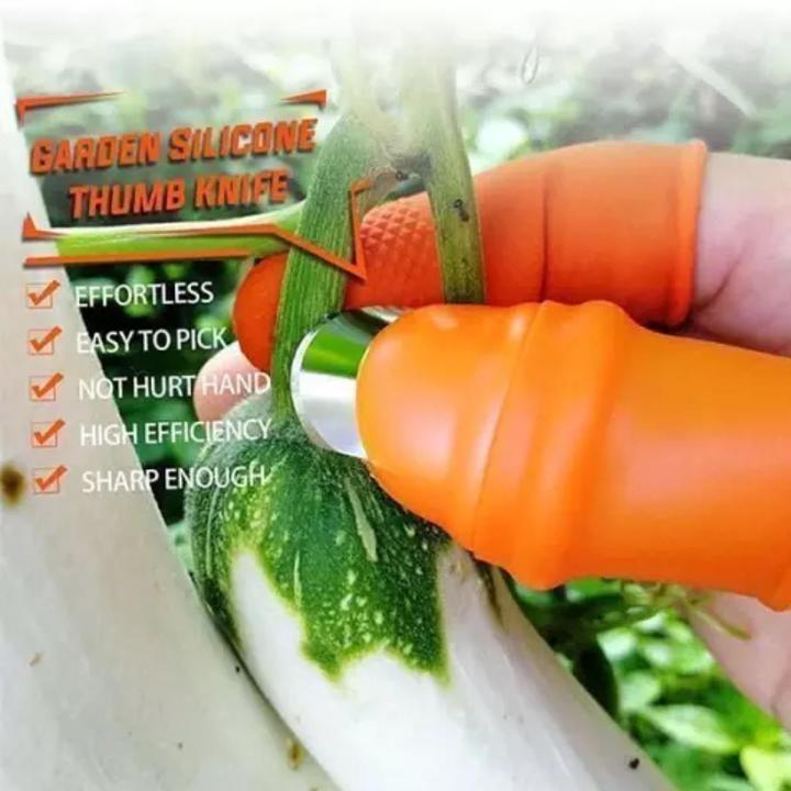 Silicone Vegetable And Fruits Thumb Cutter Finger cutter 5 in 1 | Daraz ...