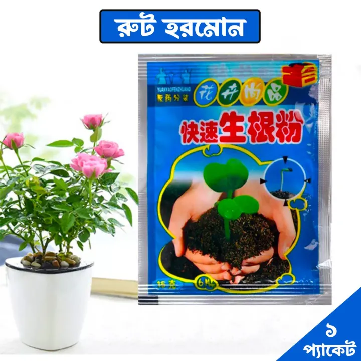 1 packet রুট হরমোন /Quick Growth Root Hormone | Daraz.com.bd
