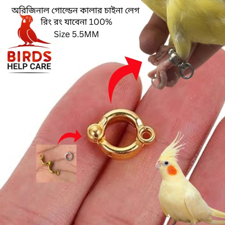 Cockatiel Birds China Leg Ring 5.5MM | Daraz.com.bd