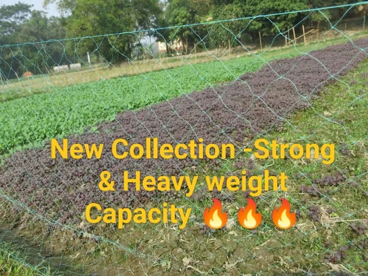 Fencing Net,Garden Fencing Net,Vegetable Net (75*3.5 Feet) 6 ply heavy ...