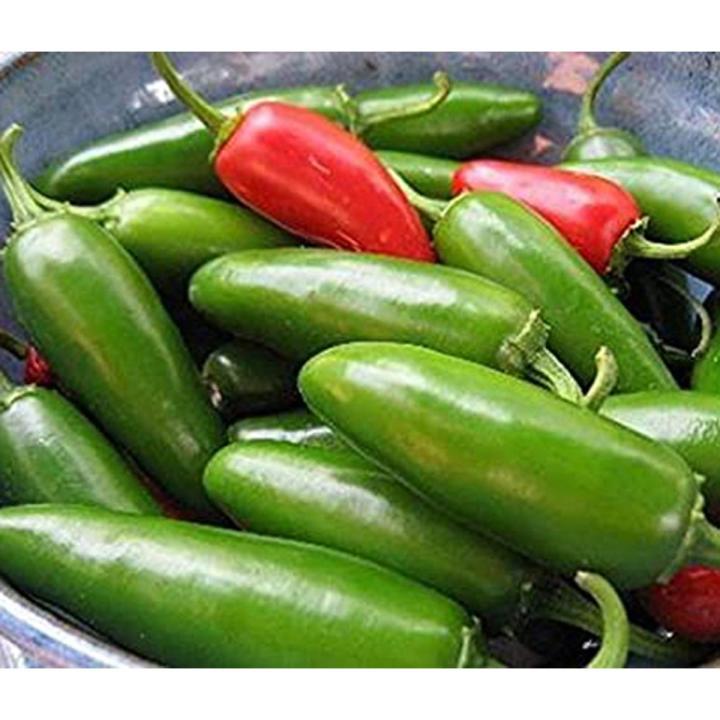 Indian Bullet Chili Hybrid Seeds For Tob/Terrace -100pcs (ইন্ডিয়ান ...