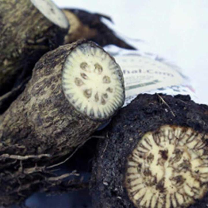 Deshi Chui Jhal - 100 gm | Daraz.com.bd