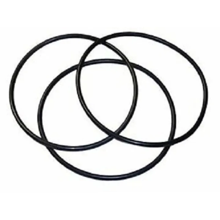 O Rings for any Water Purifier FOR 10 inch any Housing Filter, price ...