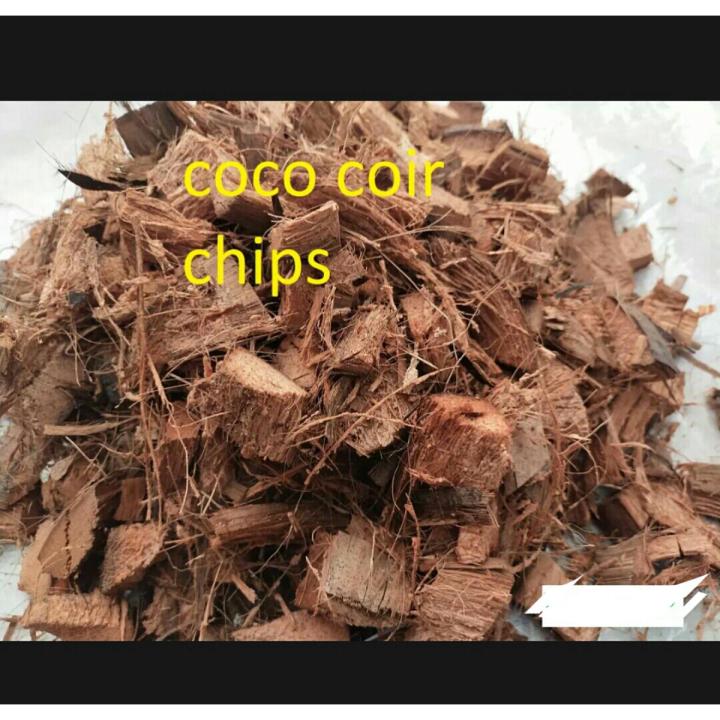 Coco Chips used for indoor plants (1kg) | Daraz.com.bd