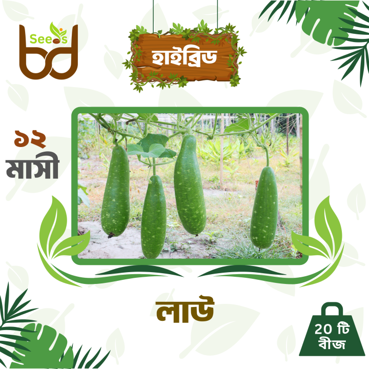 Hybrid Bottle Gourd Seeds 20 Seeds ( লাউ বীজ ) | Daraz.com.bd